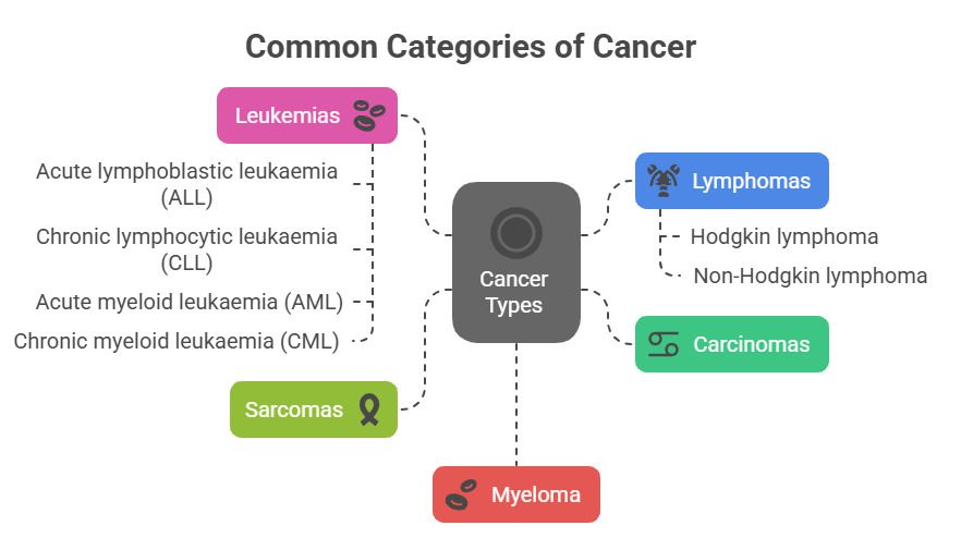What is Cancer and Its Different Types?